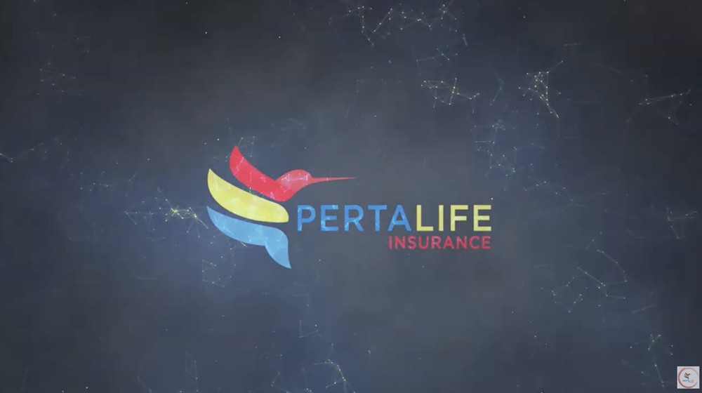 Merger BUMN Asuransi: PertaLife Ketinggalan Kereta? - EKONOMI